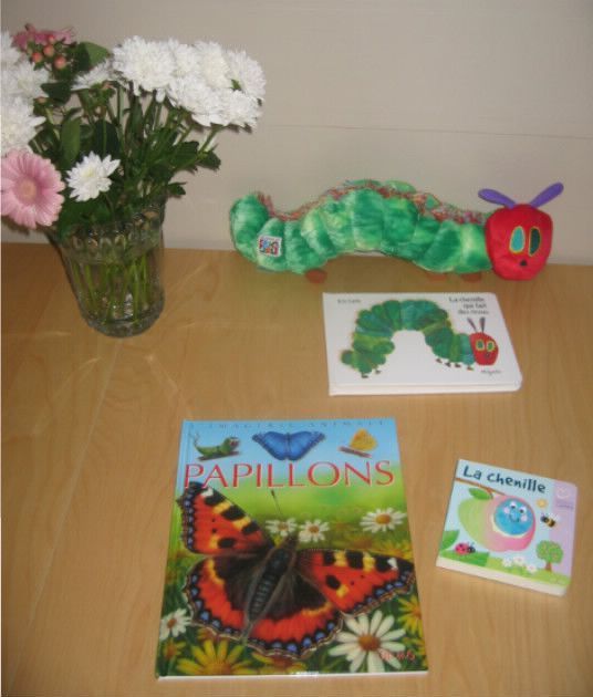 Livres pour le thème "Chenille et Papillon"